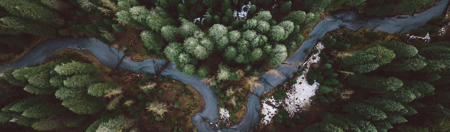 About us – Forest Lab